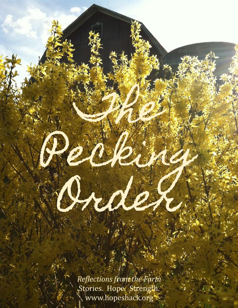 The Pecking Order – Hope Shack